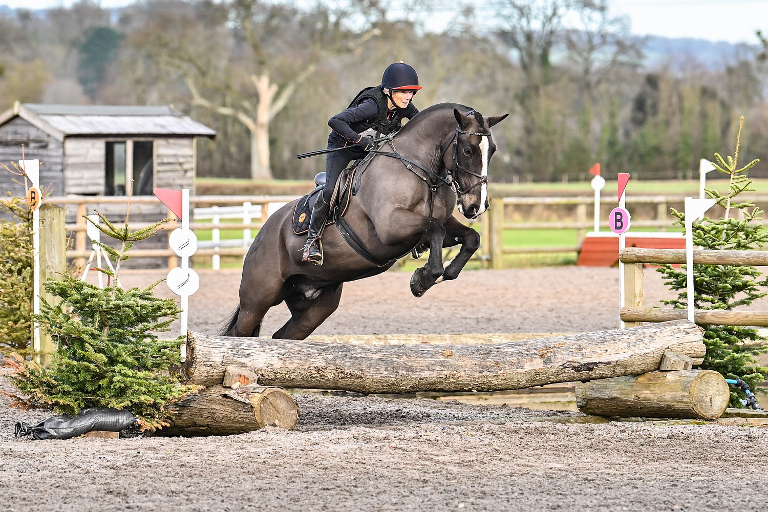 Pontispool Arena Hunter Trial 15th February 2025 - Equestrian Event ...